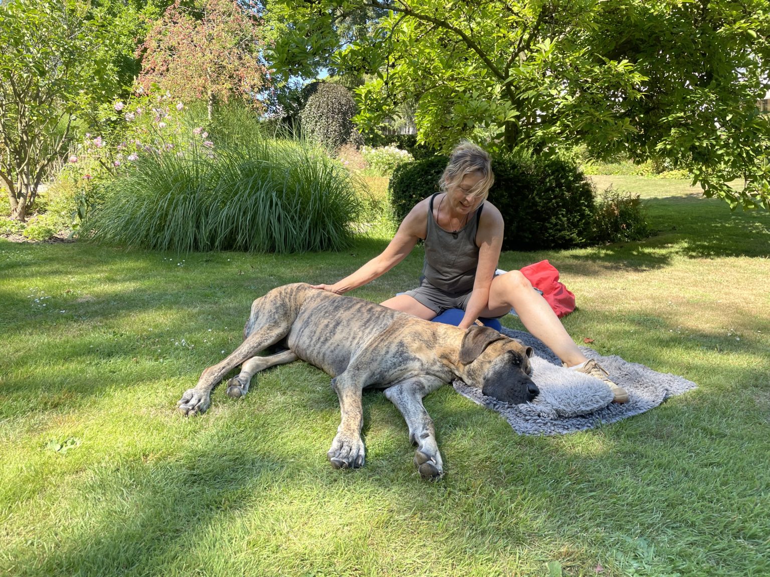 Shiatsu Canin & Félin – Anne-Sophie Muffat / Comportementaliste Chiens ...